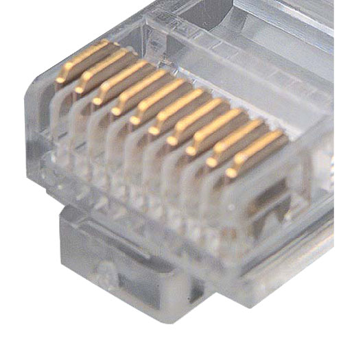 Modular Plug, RJ50 (10x10), Pkg/100 - TDR10P10C