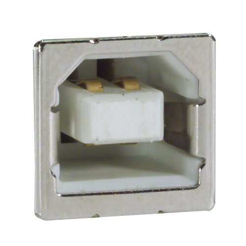 USB Adapter, Type B Female / Type B Female - UAD012FF