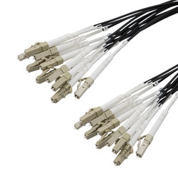 12 Strand LC/UPC to LC/UPC 50/125 OM3, 6.2mm Distribution Cable, 2.0mm ...